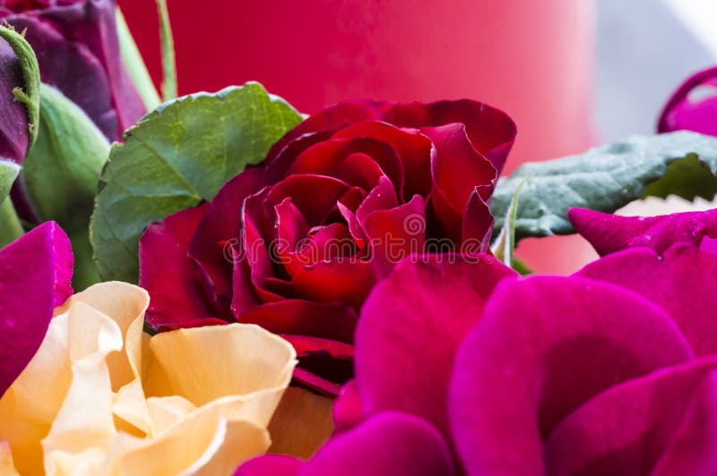 Lovely roses bouquet stock image. Image of bouquet, bunch - 75679503