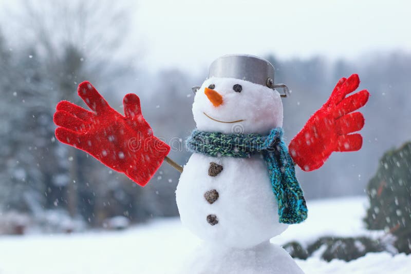 Lovely Smiling Snowman in the Winter Garden Stock Image - Image of ...