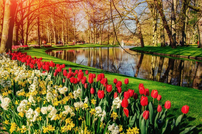A Lovely Spring Landscape Park. Blooming Flowers. Stock Photo - Image ...