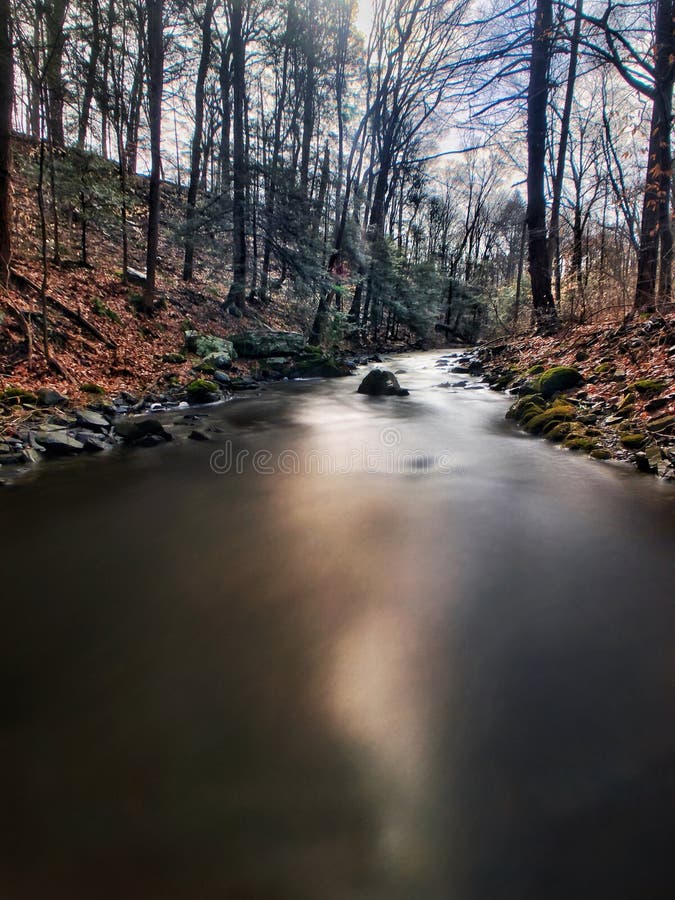 A babbling brook stock photo. Image of lovely, early - 110625562