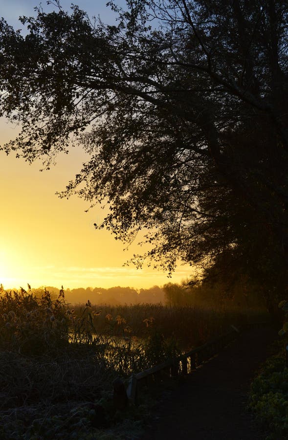 Lovely sunrise stock photo. Image of warm, setting, lovely - 63601224