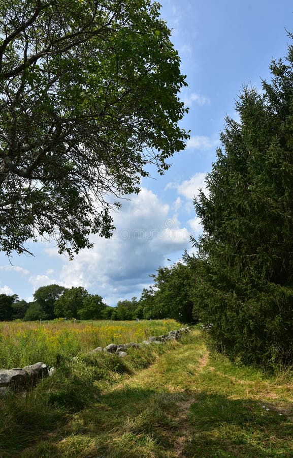 Lovely Walking Trail beside a Wild Meadow Stock Image - Image of field ...