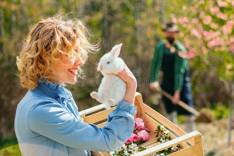 Lovely Woman Hold White Rabbit. Spring. Woman and Rabbit. Happy Easter ...