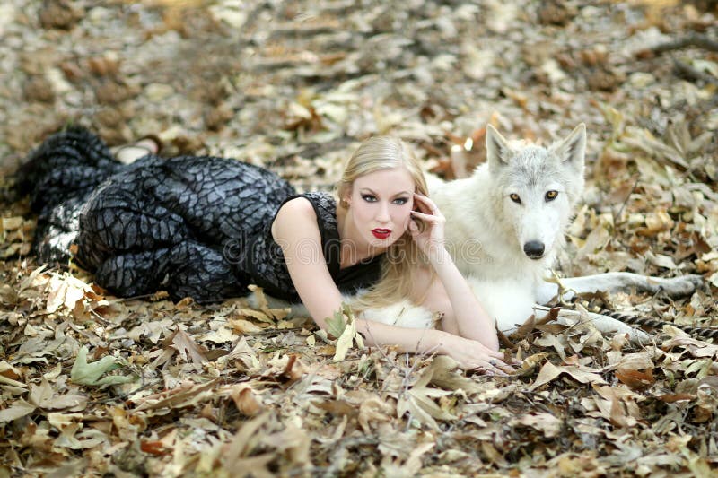 Lovely Woman Posing with a Wolf Stock Photo - Image of wolf, look: 43313798