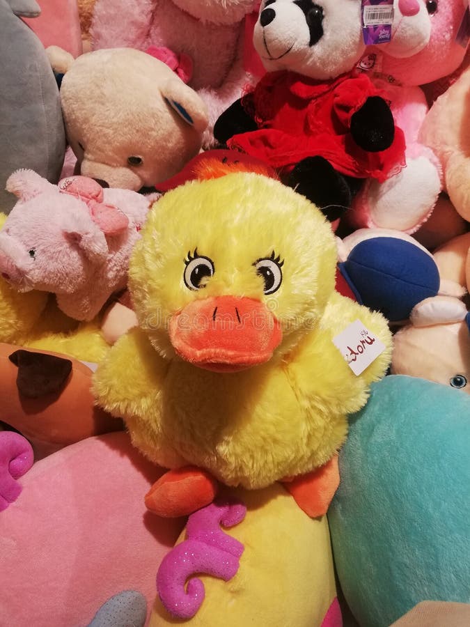 The Lovely Yellow Duck Doll on the Bunch Stock Image - Image of bunch ...