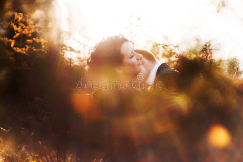 Puddle reflection stock photo. Image of lifestyle, kiss - 16328654
