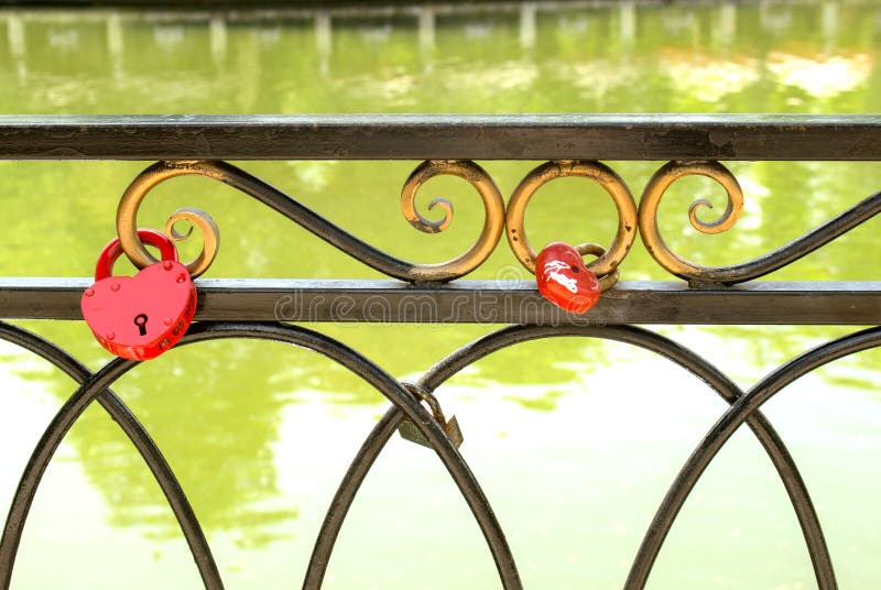 Locks on the fence, stock photo. Image of flora, flower - 116442532