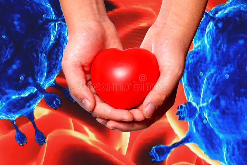 Loving and caring stock image. Image of lesson, heart - 3038905