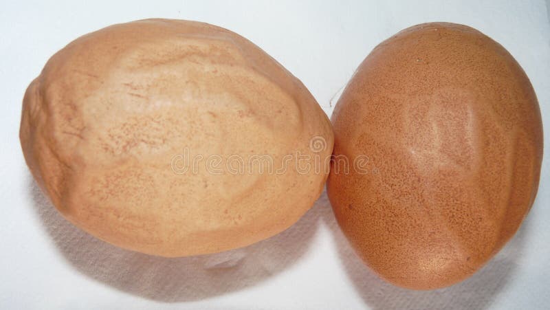 Malformed Eggs Stock Photos - Free & Royalty-Free Stock Photos from ...