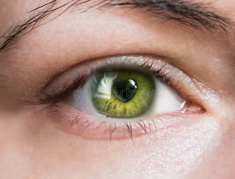 Loving glance stock image. Image of eyelash, blue, creativity - 58345751