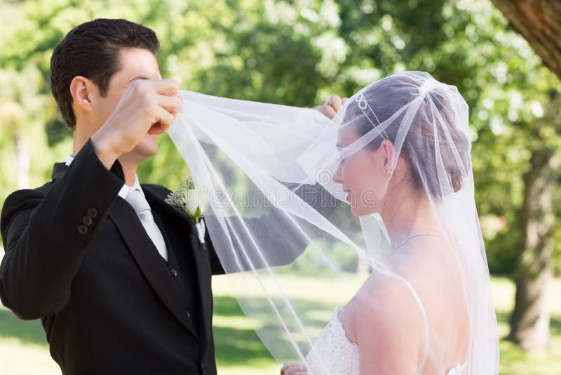 Unveiling bride portrait stock image. Image of gown, fresh - 20767867 Unveiling bride portrait stock image. Image of gown, fresh - 20767867