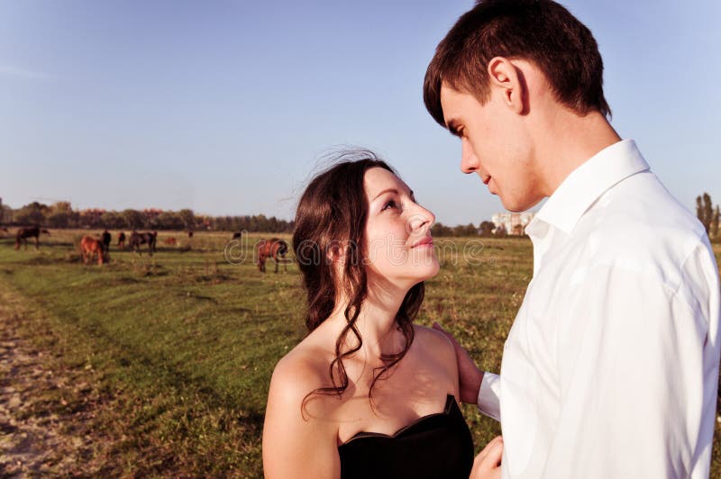 Loving Pair of Lion and Lioness Stock Photo - Image of look, creature ...