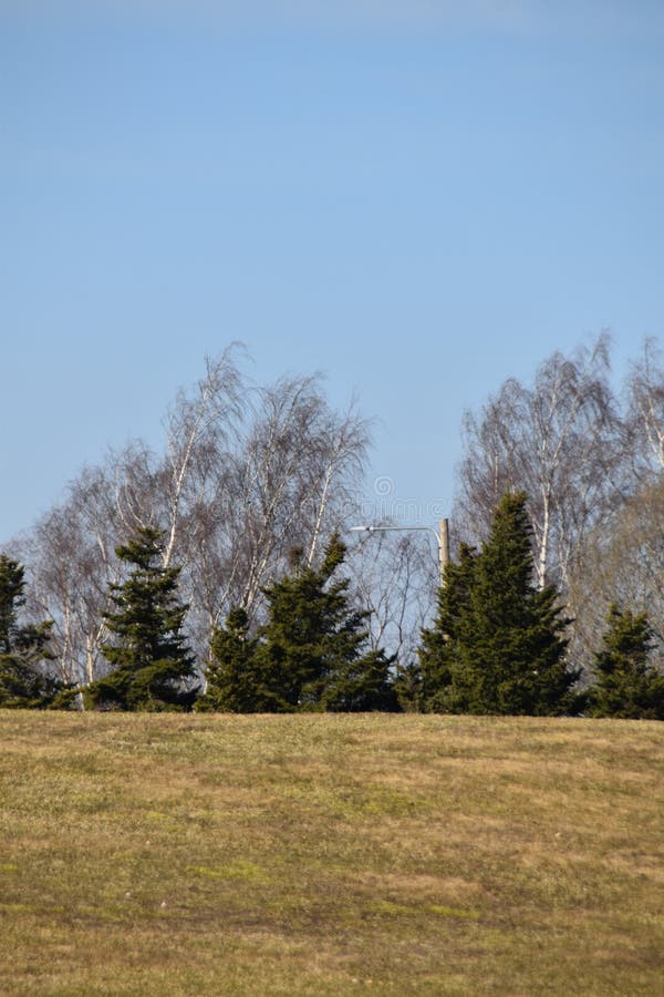 Loving Spring Views? stock image. Image of authentic - 371482607