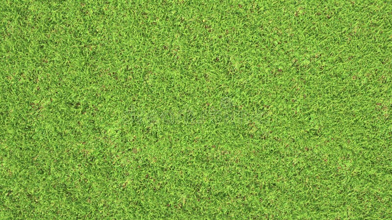 Low Altitude Top-down Aerial View of Green Grass Lawn Stock Photo ...