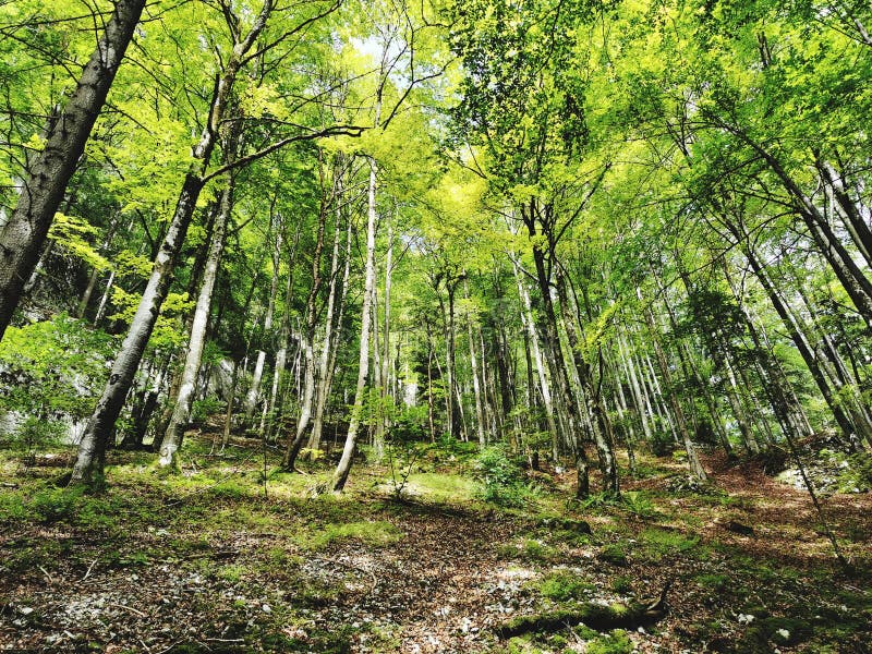 Low Amgle Stock Photos - Free & Royalty-Free Stock Photos from Dreamstime