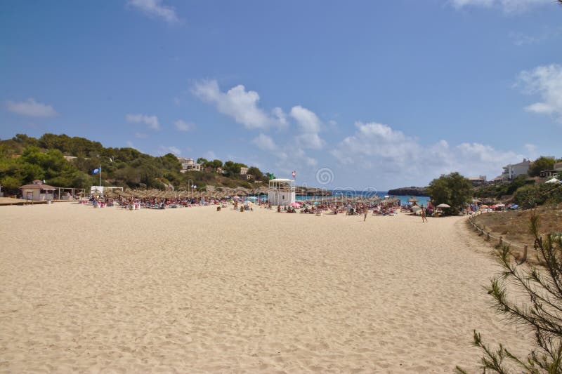 Low Angle on a Beach with the Ocean in the Back Stock Photo - Image of ...