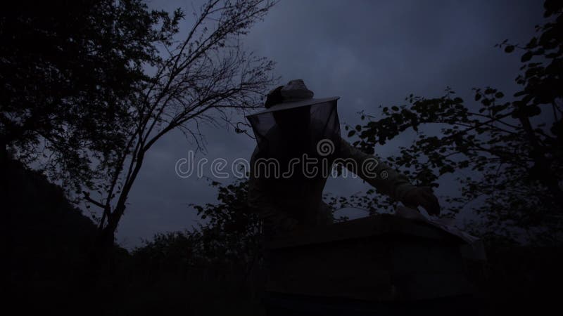 Low Angle of a Beekeeper Pouring Sugar Water in Beehive To Feed the ...