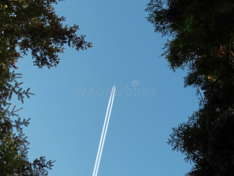 Low Angle of a Flying Airplane with a Clear Sky Background Stock Photo ...