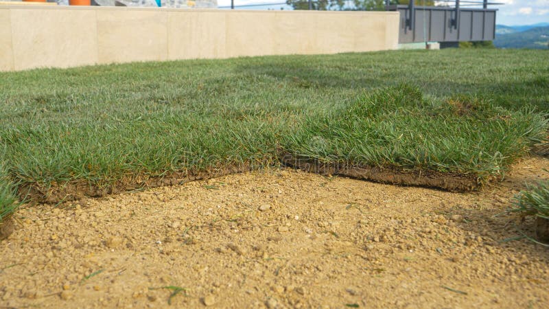 LOW ANGLE: Grass Tiles Get Thrown on Soil Ground in Backyard Under ...
