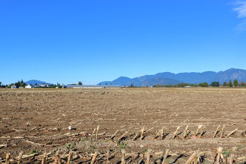 Low Angle Harvested Corn Field and Valley Stock Photo - Image of maize ...