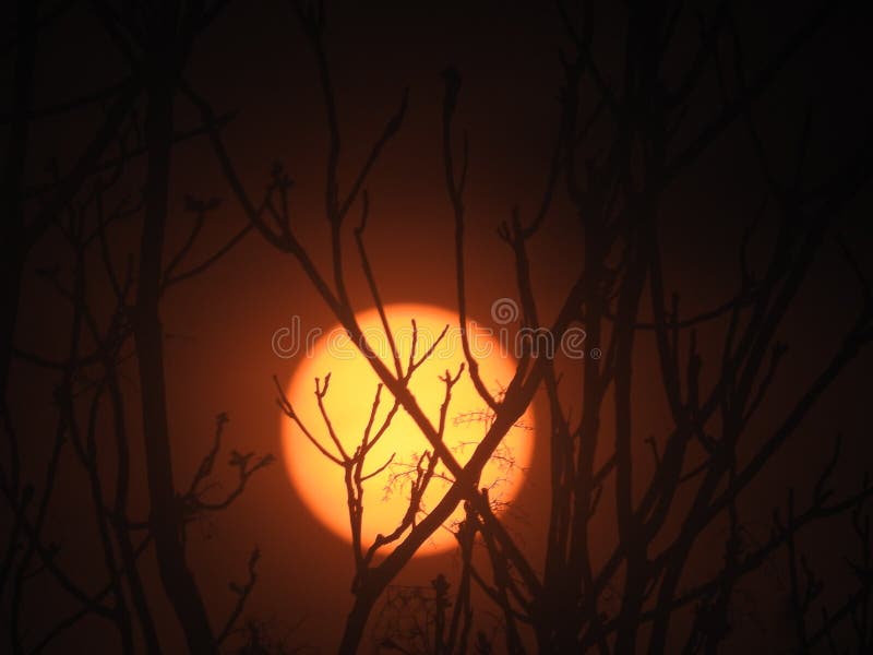 Low Angle Horizontal Shot of the Beautiful Moon in the Night Sky and ...