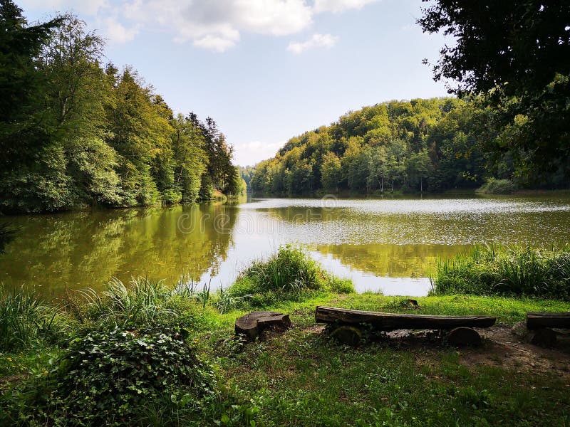 Low-angle of Lake View Reflecting Green Trees and Sky Background Stock ...
