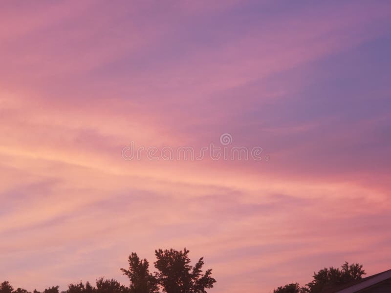 Low-angle Landscape Shot of the Beautiful Pink Sky with Tree Details on ...