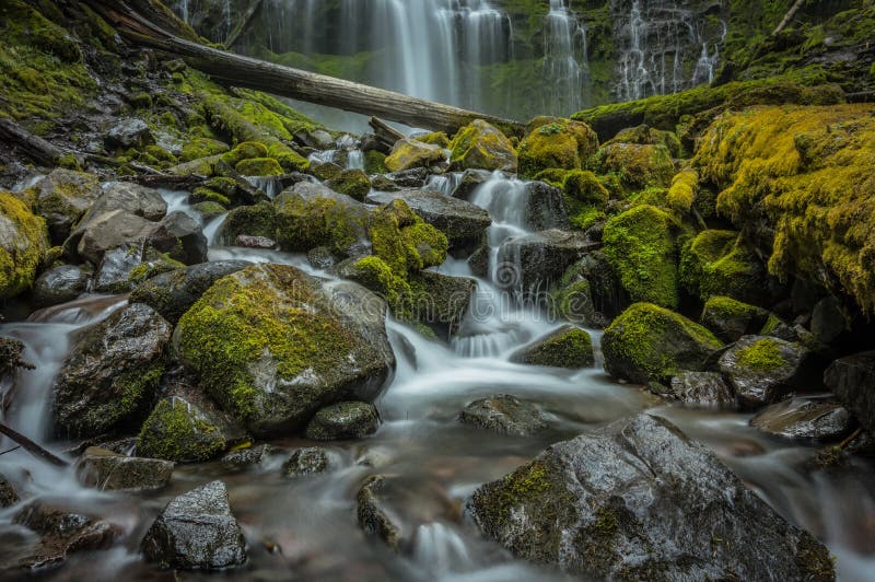 Low Angle of Mossy Rocks at Proxy Falls Stock Image - Image of oregon ...