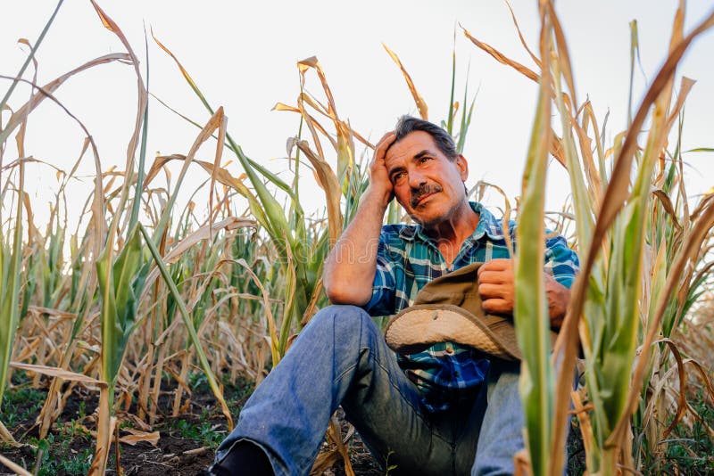 Sad Farmer Sitting Drought Stock Photos - Free & Royalty-Free Stock ...