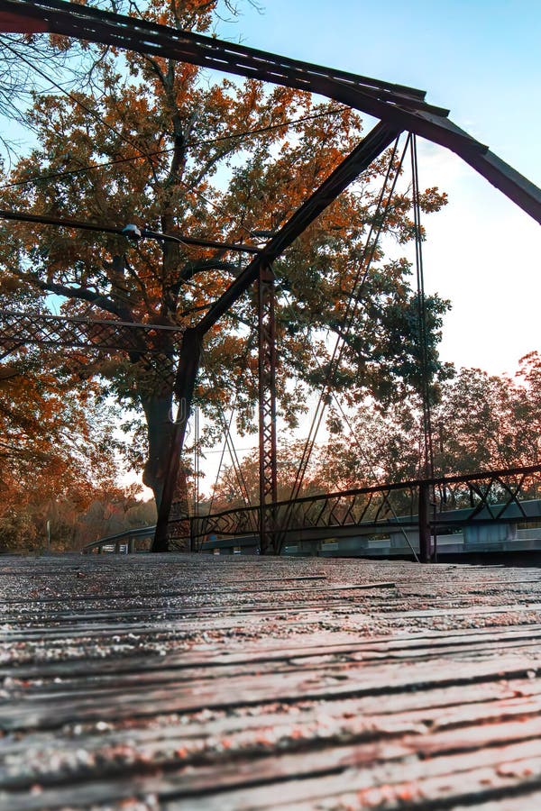 Low Angle Perspective of a Wooden Bridge and Fall Trees. Stock Image ...