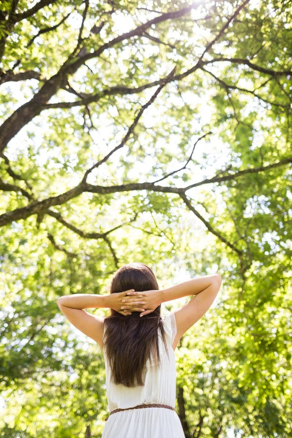 Low Angle Rear View of Woman Relaxing Against Trees Stock Photo - Image ...