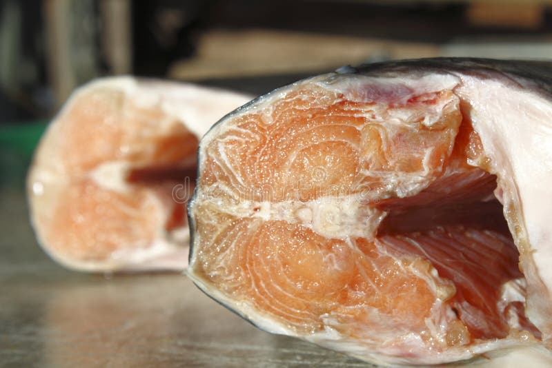 Low Angle of Salmon Body stock photo. Image of meat, preparing - 22292518