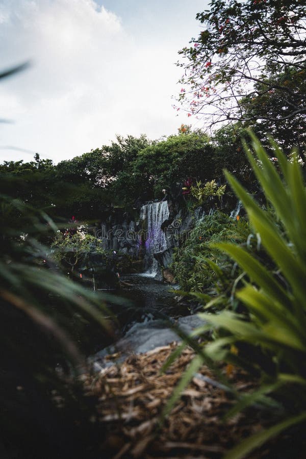 Low-angle of the Scenic Inverrary Scenic Waterfall through Bushes Stock ...
