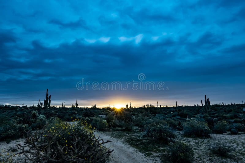 Low Angle Shot of the Arizona Desert during Sunrise Stock Photo - Image ...