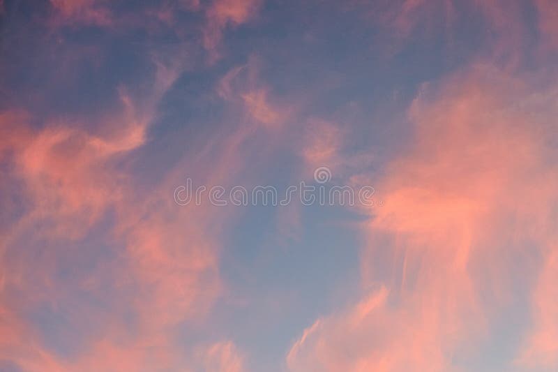 Low Angle Shot of the Beautiful Colorful Sunset Sky with Coral Clouds ...