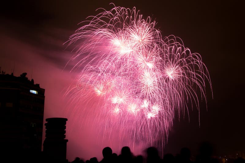 Low Angle Shot of Beautiful Fireworks Under the Night Sky Stock Image ...