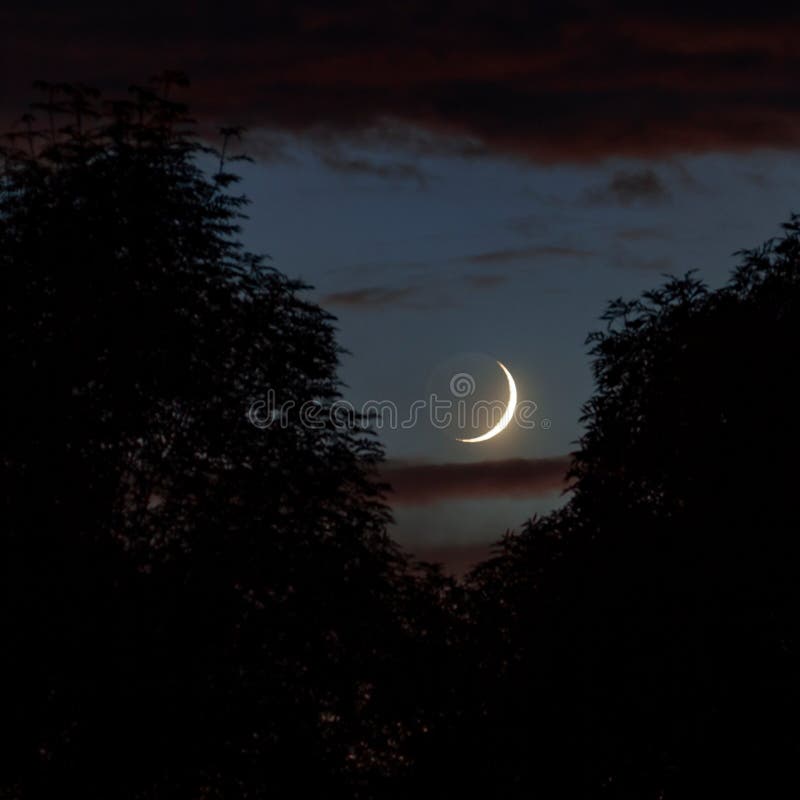 Low Angle Shot of a Beautiful Lunar Eclipse in the Mysterious Sky with ...