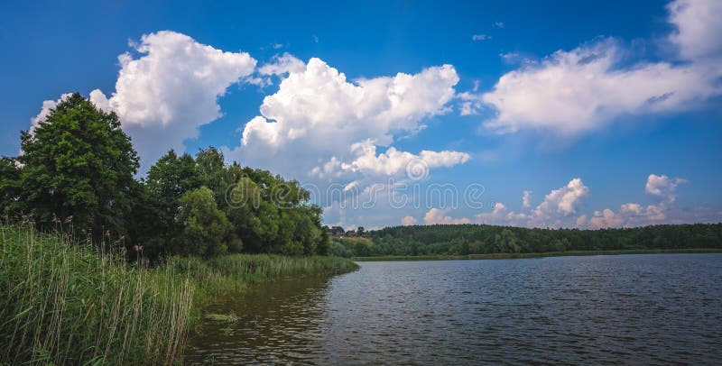 Low Angle Shot of the Beautiful Sky Captured from a Lake in a Field ...