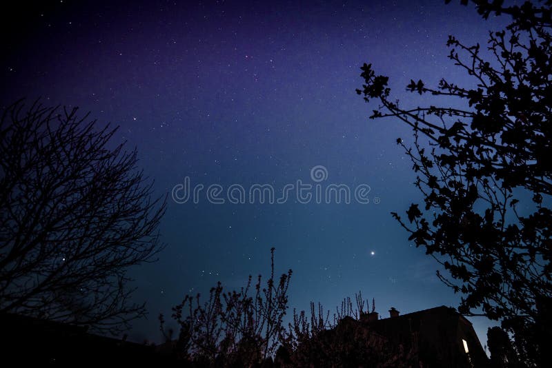 Low Angle Shot of a Beautiful Starry Night Sky Stock Image - Image of ...