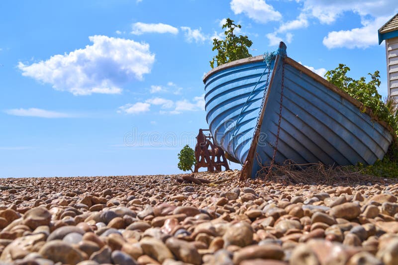 Low Angle Shot of a Blue Boat As Decor with Plants on the Beach Stock ...