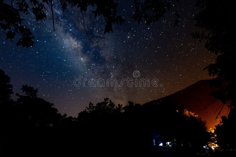 Low Angle Shot of a Bright Starry Night Sky Over a Field with Trees ...