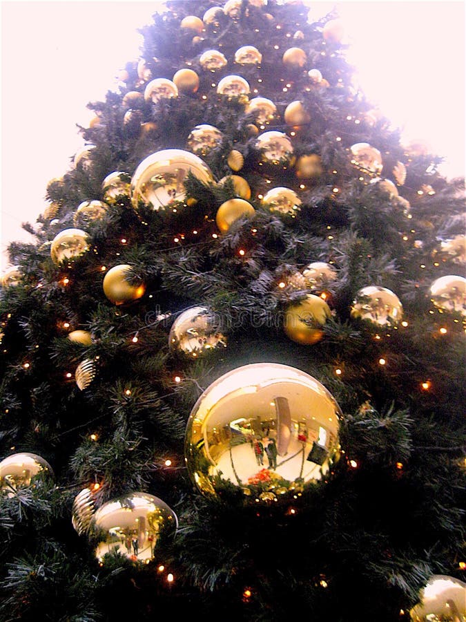 Low Angle Shot Of Christmas Tree With Gold-colored Bauble Picture ...