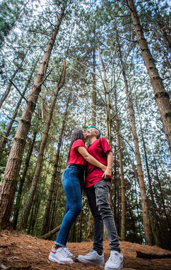 Low-angle Shot of a Cute Couple Hugging Each Other in a Forest Stock ...