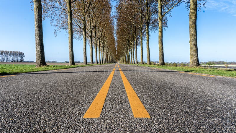 1,080 Low Angle Asphalt Road Photos - Free & Royalty-Free Stock Photos ...