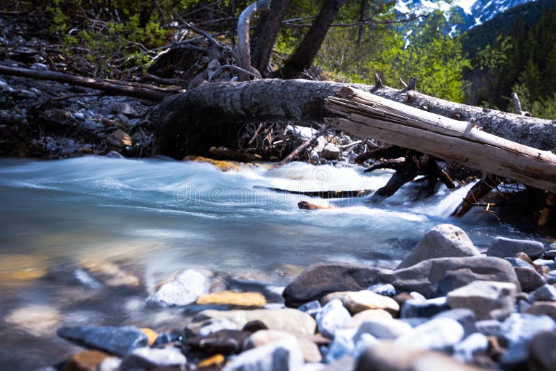 Low Angle Shot of Fallen Tree Logs Over a River Stock Image - Image of ...
