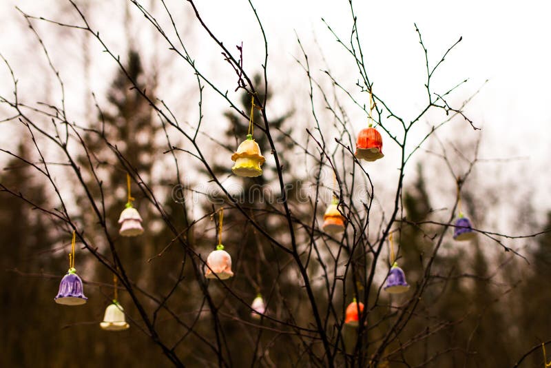 Low Angle Shot of Hanging Tulip Ornaments on Bare Tree Branches Stock ...