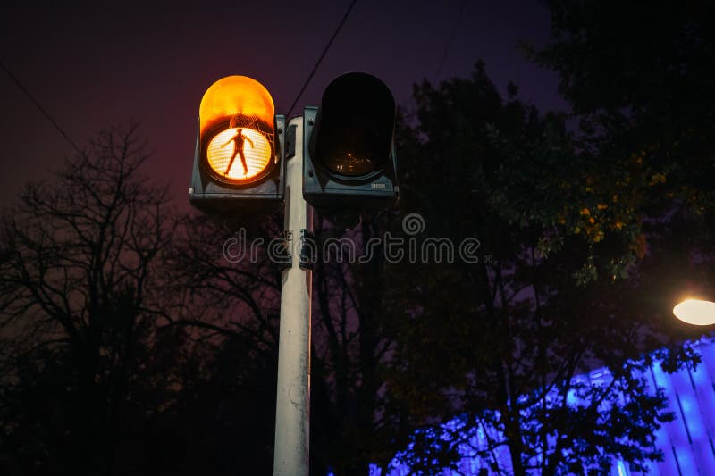 Low-angle Shot of an Illuminated Traffic Light at Night Stock Image ...