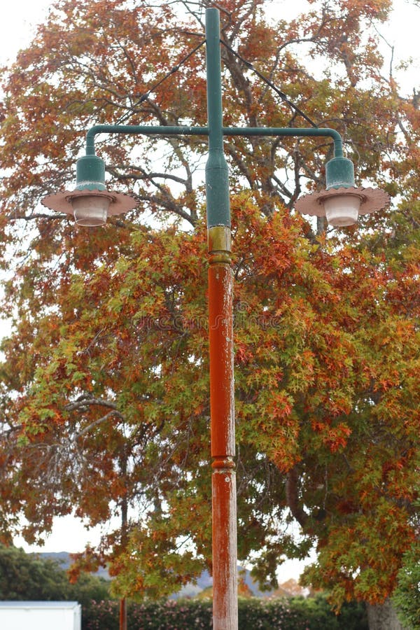 334 Lamp Post Texture Tree Photos - Free & Royalty-Free Stock Photos ...