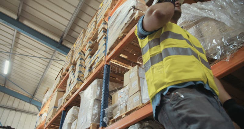 Low Angle Shot of a Logistics Worker in a Large Warehouse Stock Video ...