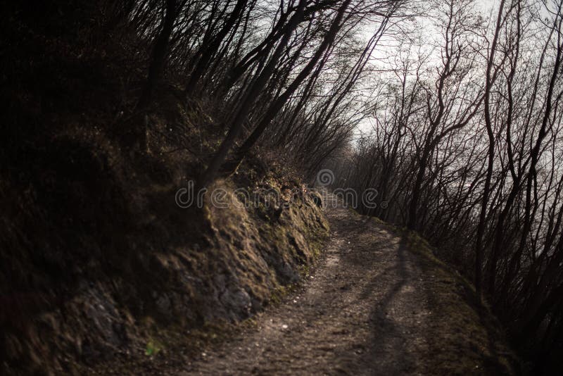 Low Angle Shot of a Mountain Path in Trentino, Italy Stock Photo ...
